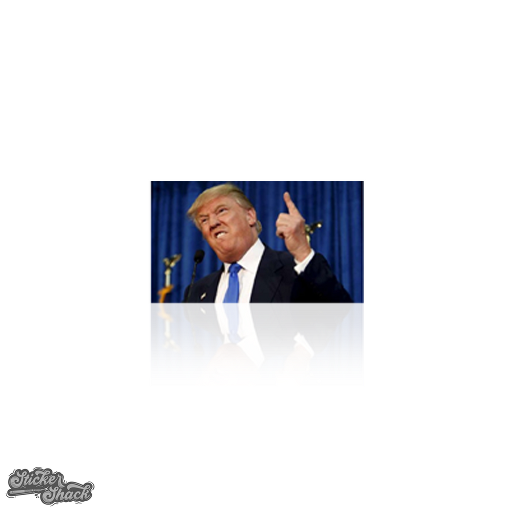 Donald Trump Slap Sticker – Sticker Shack